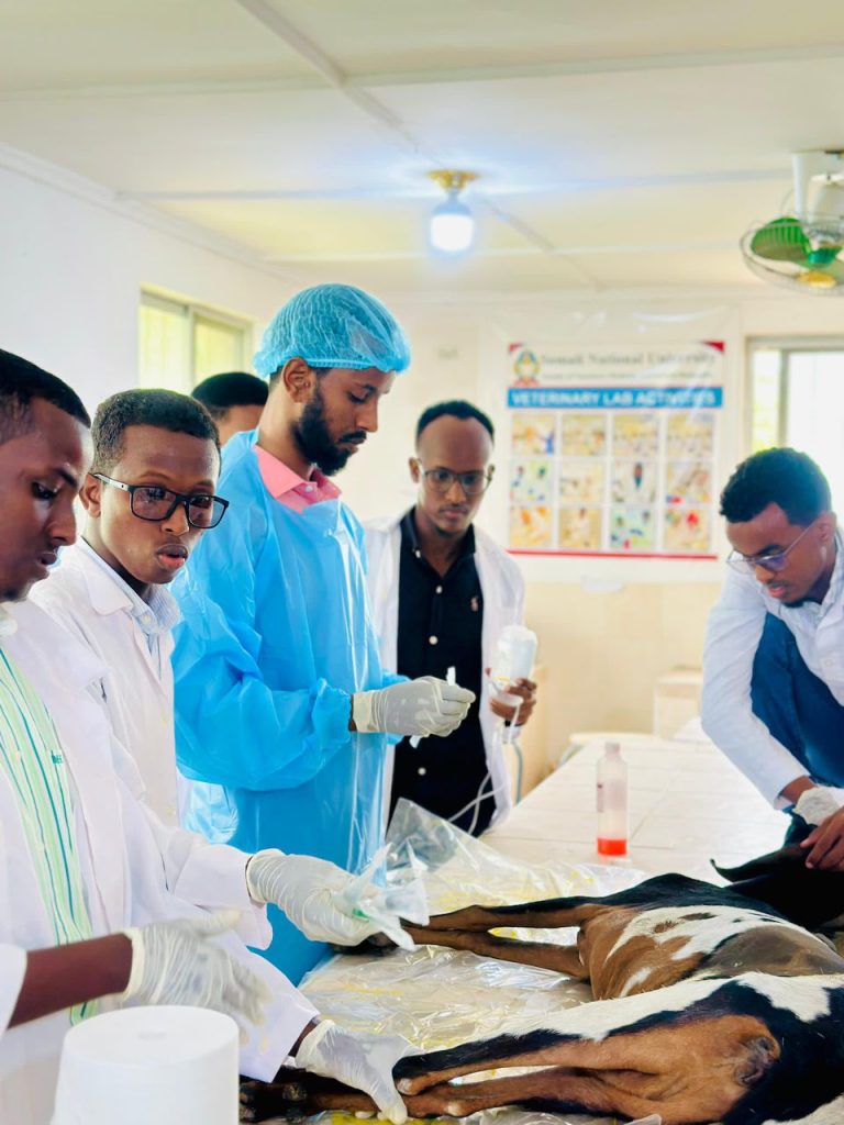 Dr Yasin Sh Hassan performed Rumenotomy ………… – Faculty of Veterinary ...