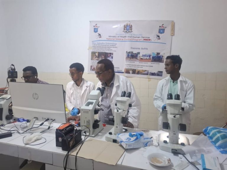 Prof. Jeylani Busuri Mayow, A professor of Entomology of Somali ...